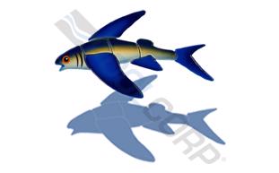 POOL360 | 12" x 7" Reverse Flying Fish-C with Shadow Mosaic Pool Tile