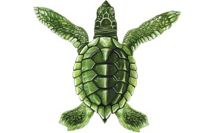 POOL360 | 5" x 5" Green Baby Turtle-A Mosaic Pool Tile