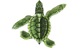 POOL360 | 5" x 5" Green Baby Turtle-B Mosaic Pool Tile