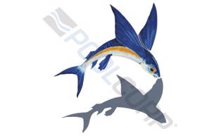 POOL360 | 7" x 8" Flying Fish-A with Shadow Mosaic Pool Tile