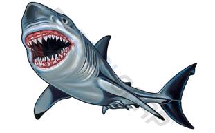 POOL360 | 32" x 18" Shark Mosaic Pool Tile