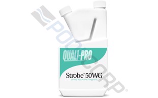 horizon | 1# Strobe 50WG Fungicide