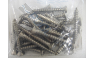 POOL360 | 30/Pack Stainless Screws forTG Guide