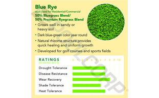 POOL360 | DELTA BLUEGRASS 10# BLUE RYE SEED