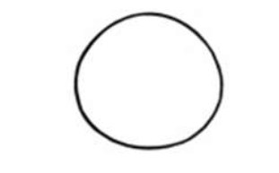 POOL360 | O-Ring for SR Series Sensor Clip