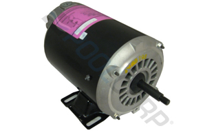 POOL360 | 1 Speed Pool/Spa Pump 48Y ODP Thru-Bolt Motor 1HP 230V 60Hz