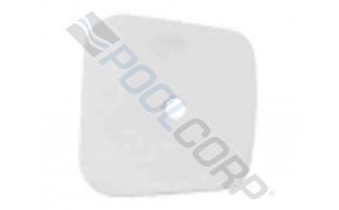 POOL360 | ECHO AIR FILTER