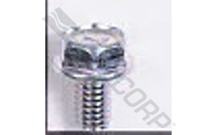 POOL360 | ECHO FLANGE BOLT SCREW