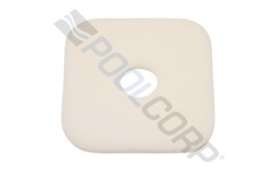 POOL360 | ECHO AIR FILTER