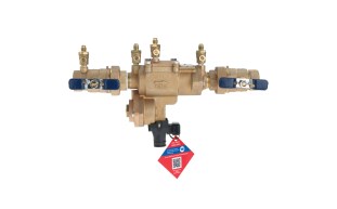 POOL360 | 1" 860 Reduced Pressure Zone Backflow Preventer Assembly, Quarter Turn, Union