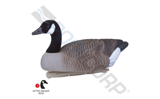 POOL360 | Storm Front™ 2 Decoy Goose Floater