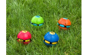 POOL360 | Phlat Ball® JR Assortment