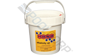 POOL360 | 10 lbs Alkalinity Up