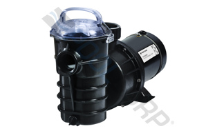 POOL360 | Dynamo® Aboveground Pool Pump 1 Speed with Cord 1 1/2HP