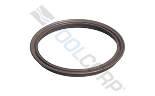 POOL360 | Perflex Diaphragm Gasket