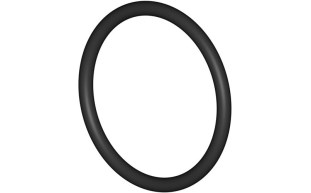 POOL360 | Diffuser O-Ring
