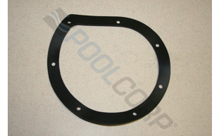 POOL360 | PowerFlo Housing Gasket