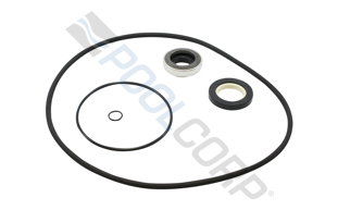 POOL360 | HCP Pump Seal Set