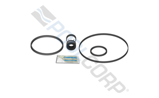 POOL360 | MaxFlo Pump Quick Fix Kit