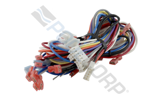 POOL360 | H-Series Low NOx Wire Harness Main 240V