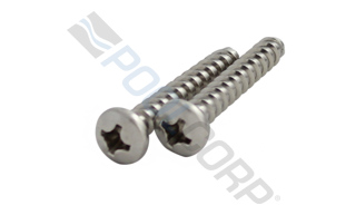 POOL360 | Stainless Steel Round Head Phillips Drive Self-Tapping Screw Set 2 Pack