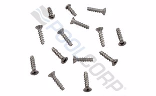 POOL360 | SP1084 Automatic Skimmer Face Plate Self-Tapping Screw Set