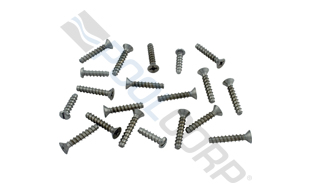 POOL360 | 1 1/4" Self-Tapping Face Plate Screw Set