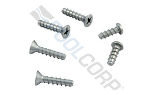 POOL360 | Self-Tapping Face Plate Screw Set 6 Pack