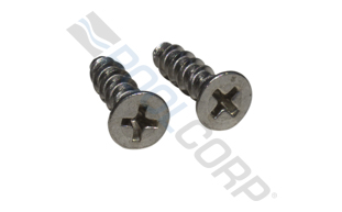 POOL360 | Grate Screws 2 Pack