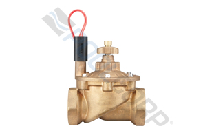POOL360 | 2" Brass Valve with Filter Sentry