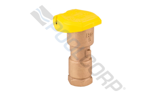 POOL360 | HQ Quick Coupler 1" Female Inlet