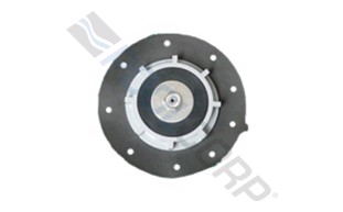 POOL360 | Rain Master 1" Diaphragm Assembly