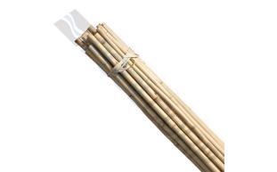 POOL360 | 3' 8/10MM NATL BAMBOO STAKE
