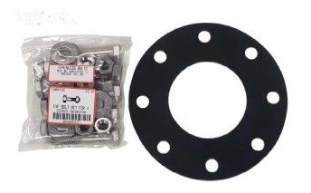 POOL360 | EPDM Gasket with 316 Stainless Steel Bolt Set for 8" Flange