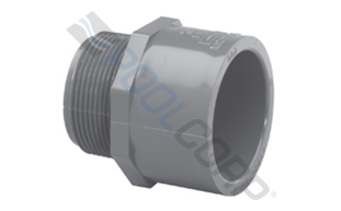 POOL360 | 1.25" MPT x Slip SCH80 Male Adapter
