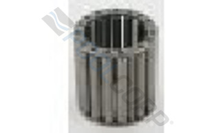 POOL360 | LELY BEARING