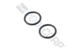 POOL360 | O-Ring for Wall Fitting