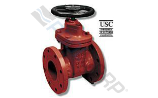POOL360 | 2" Gate Valve Flanged with Operating Nut