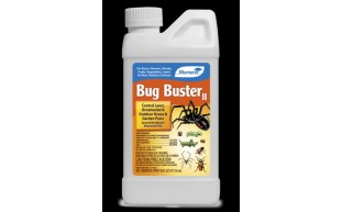 POOL360 | Bug Buster II 1 pt