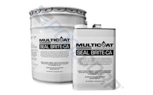 POOL360 | 5 gal Seal Brite (CA) High Gloss Clear Sealer