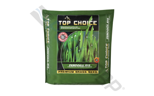 POOL360 | MVS TOP CHOICE SEED PERENNIAL RYE BLEND 10#