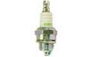 POOL360 | BPM8Y Spark Plug