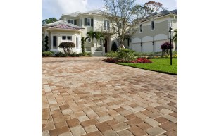 POOL360 | 60mm Appian Stone Paver Fossil Beige