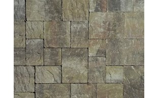 POOL360 | 9" x 12" Quarry Stone Paver Conn Fieldstone