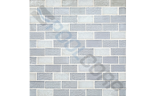 POOL360 | 1" x 2" Pacific Coast Tile Shell Beach