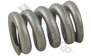 POOL360 | Triton® C and C-3 Oval Closure Spring