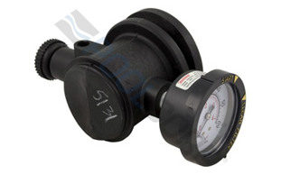 POOL360 | 2 3/8" Nautilus Automatic Air Relief Assembly