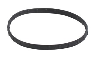POOL360 | 3" Replacement Union Diamond Kit Seal