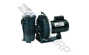 POOL360 | Challenger 1 Speed High Pressure Pump 1 1/2HP 115/208-230V
