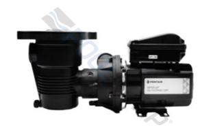 POOL360 | Sta-Rite OptiFlo® Aboveground Pool Pump 1.5HP 230V 50Hz ...